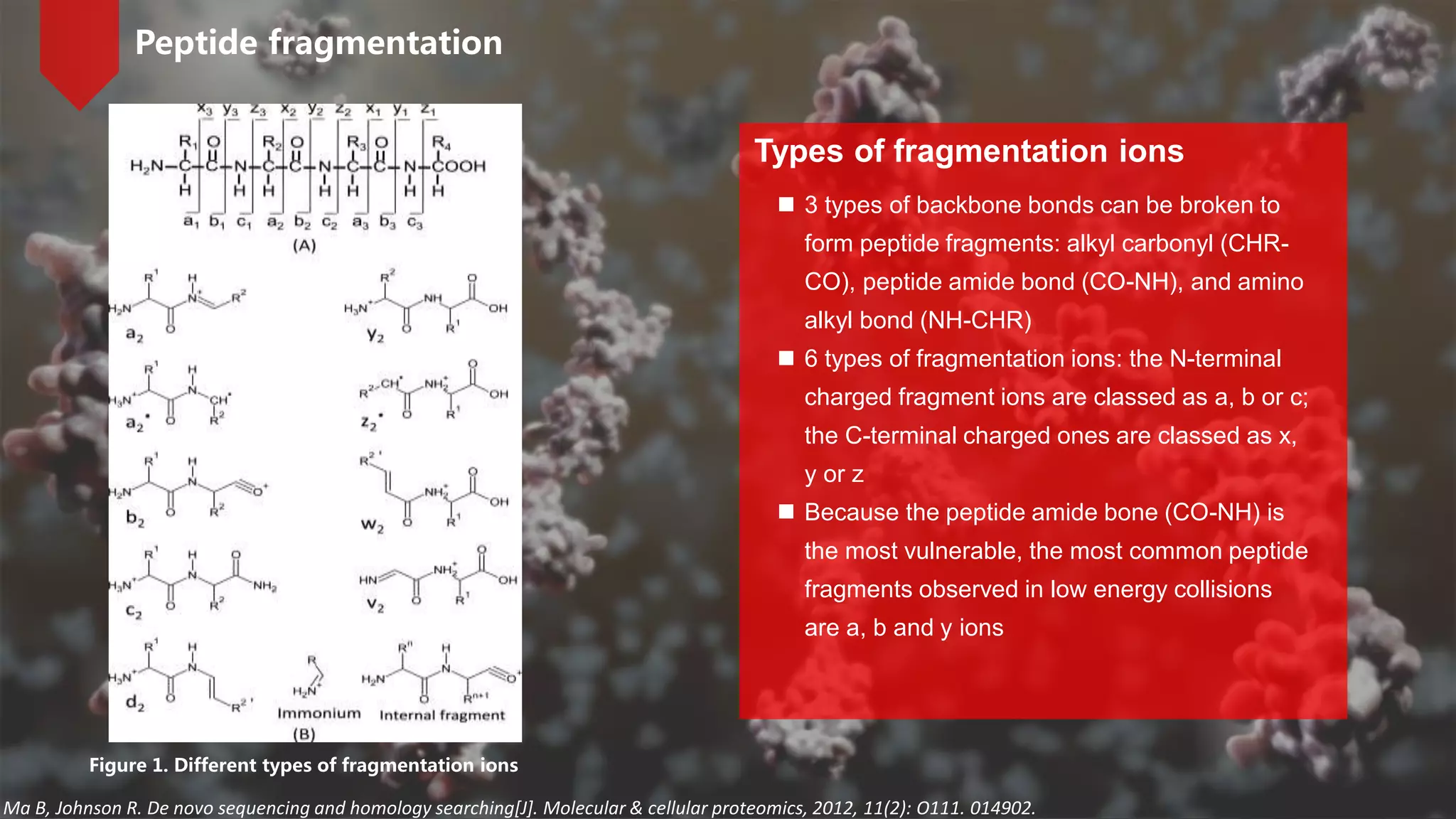 De novo peptide sequencing-creative proteomics | PPTX
