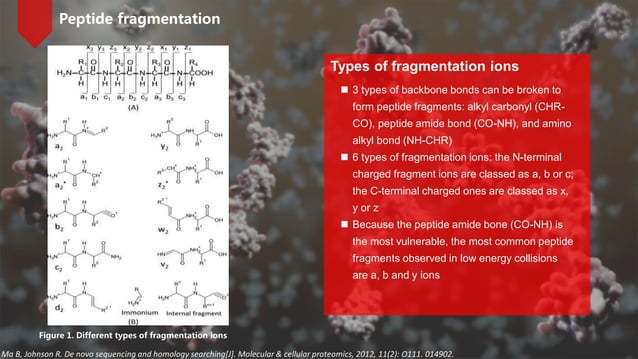 De novo peptide sequencing-creative proteomics | PPTX | Chemistry | Science
