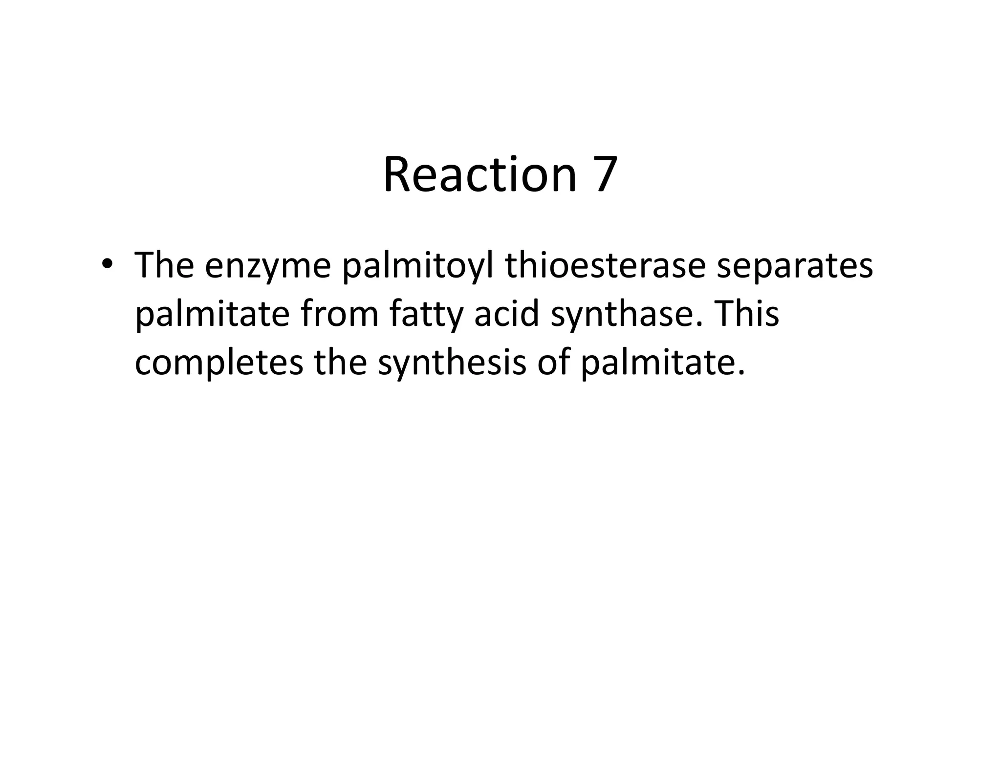 De Novo Synthesis of fatty acids | Biosynthesis Of Fatty Acids | | PDF