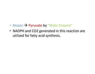 De Novo Synthesis of fatty acids | Biosynthesis Of Fatty Acids | | PDF