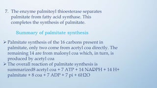 De Novo Synthesis Of FATTY ACID PPT.pptx
