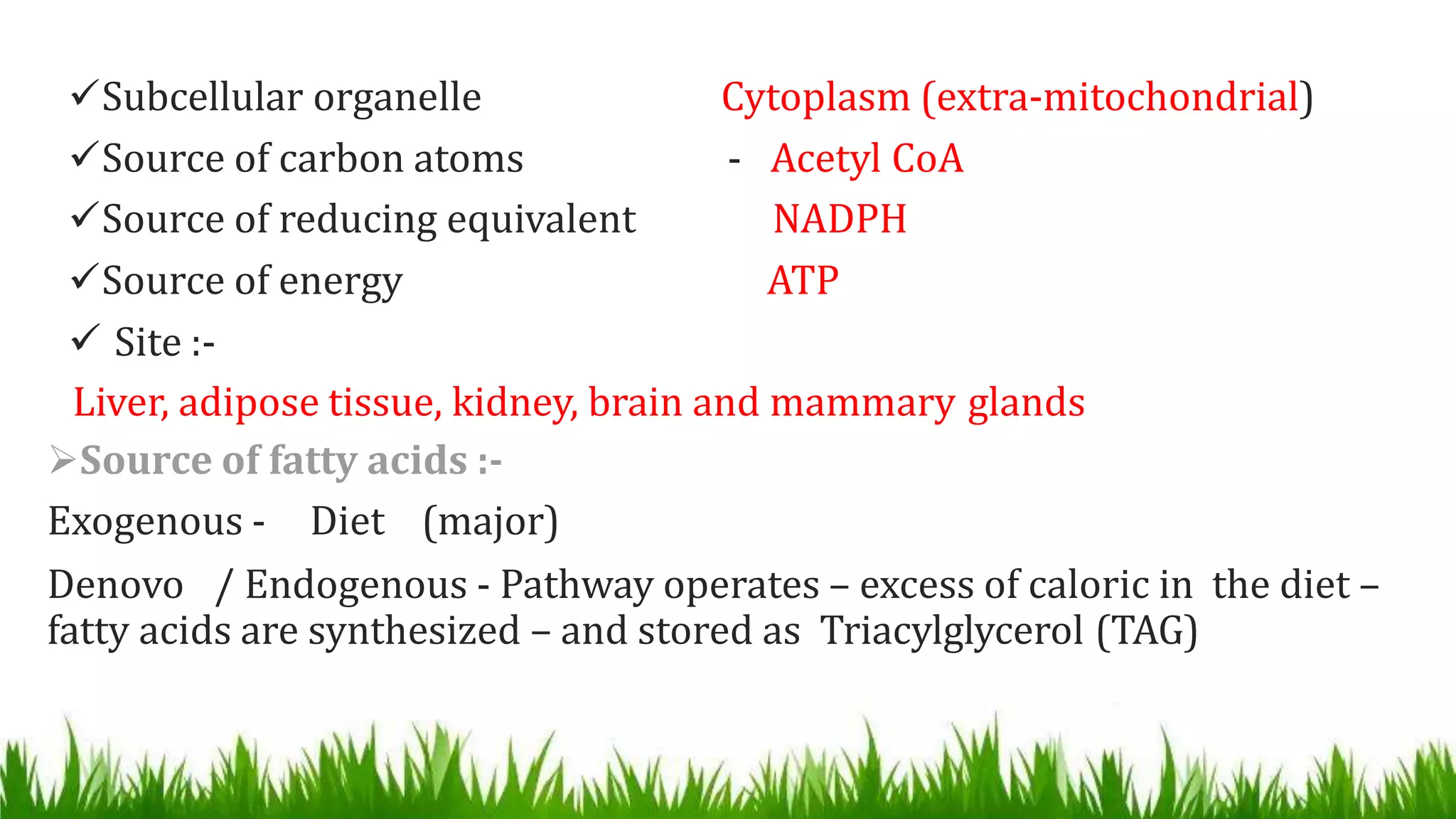 Denovo synthesis of fatty acids | PPTX