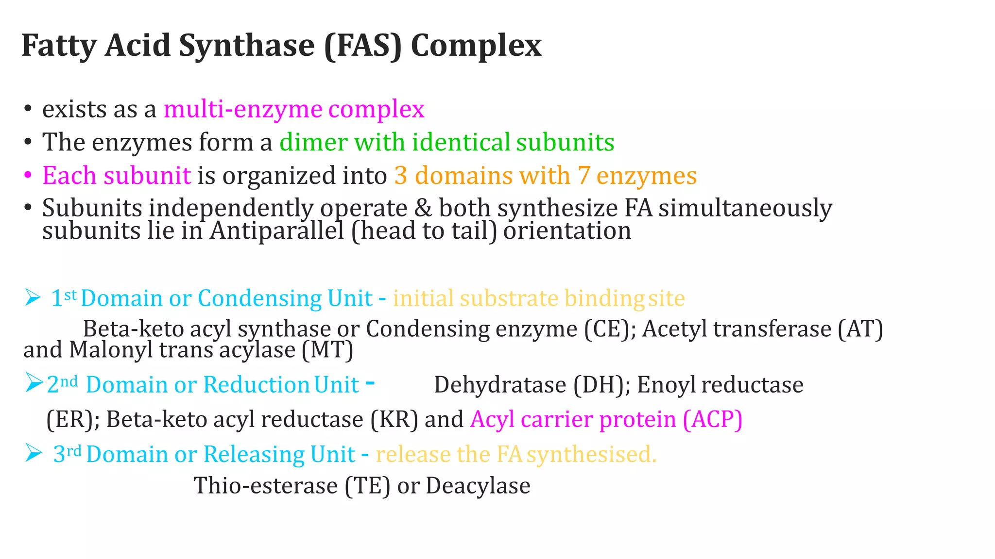 Denovo synthesis of fatty acids | PPTX