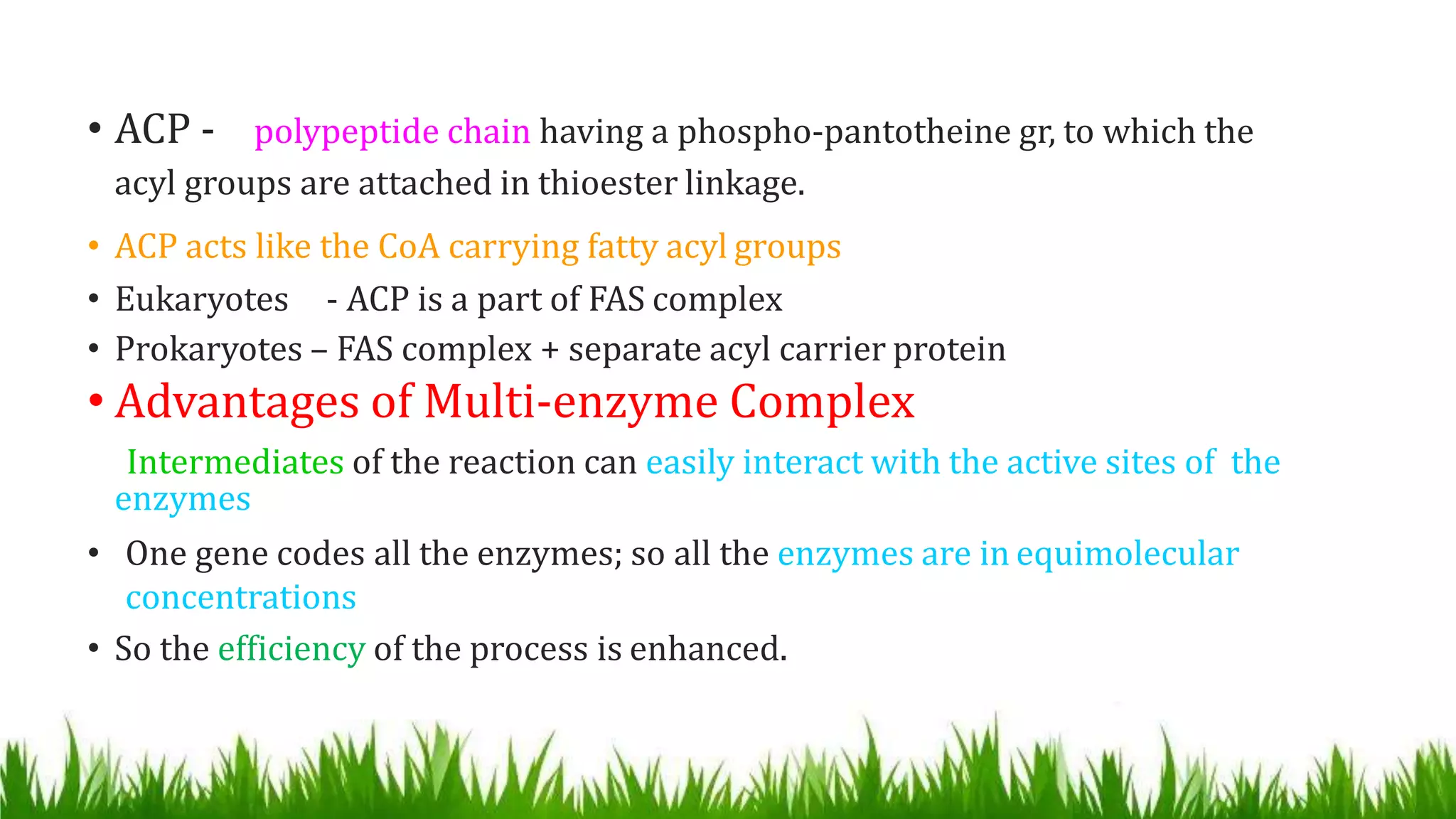 Denovo synthesis of fatty acids | PPTX