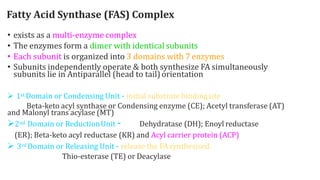 Denovo synthesis of fatty acids | PPTX