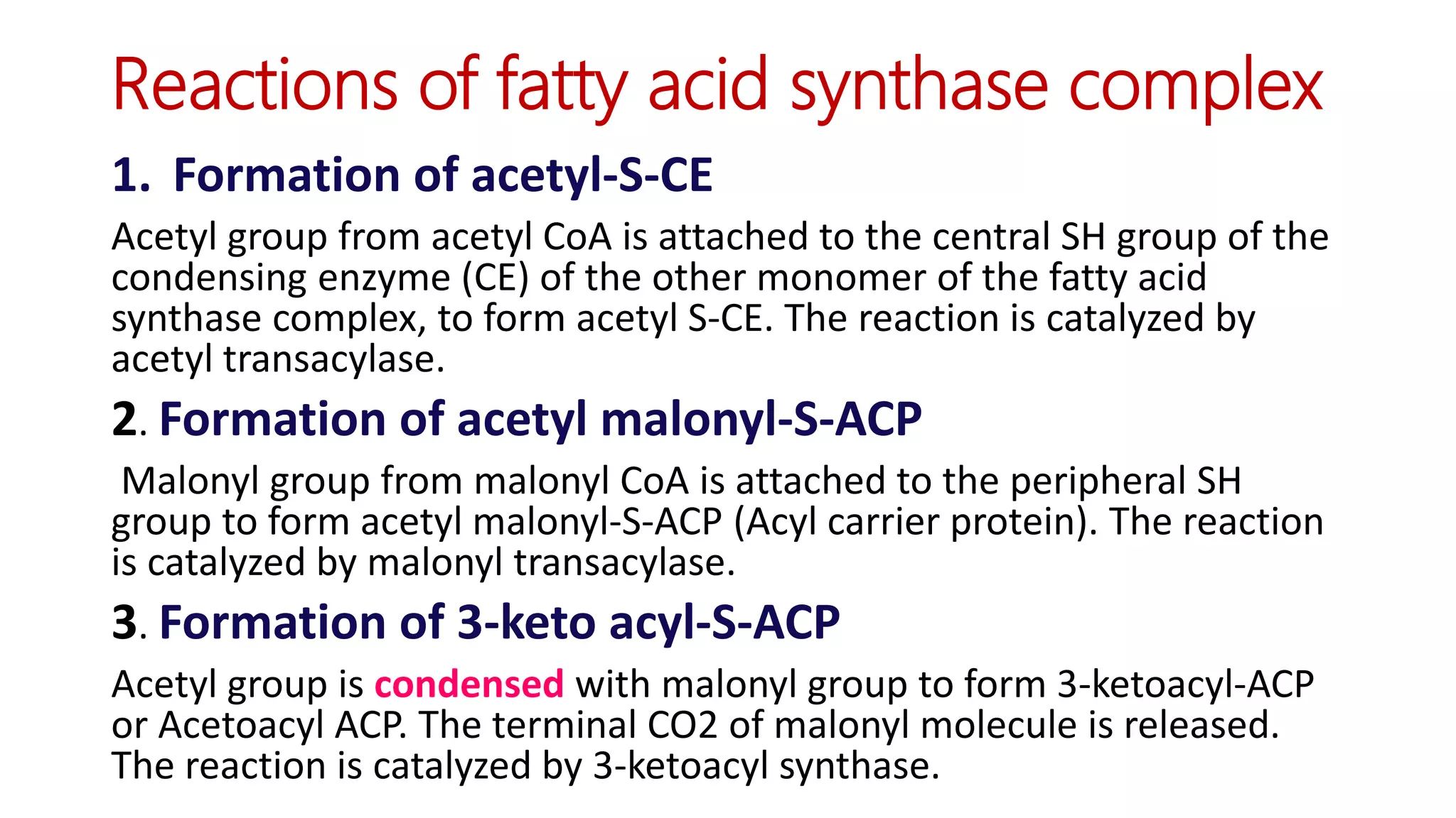 Denovo synthesis of fattyacids | PPTX