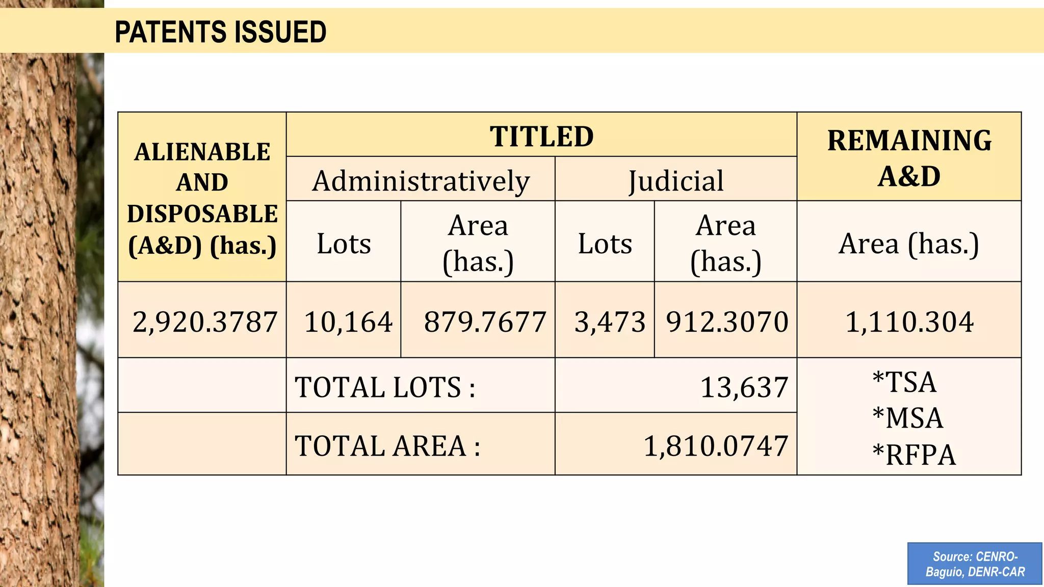 The Overall Land Situation of Baguio City: Issues and Challenges | PDF