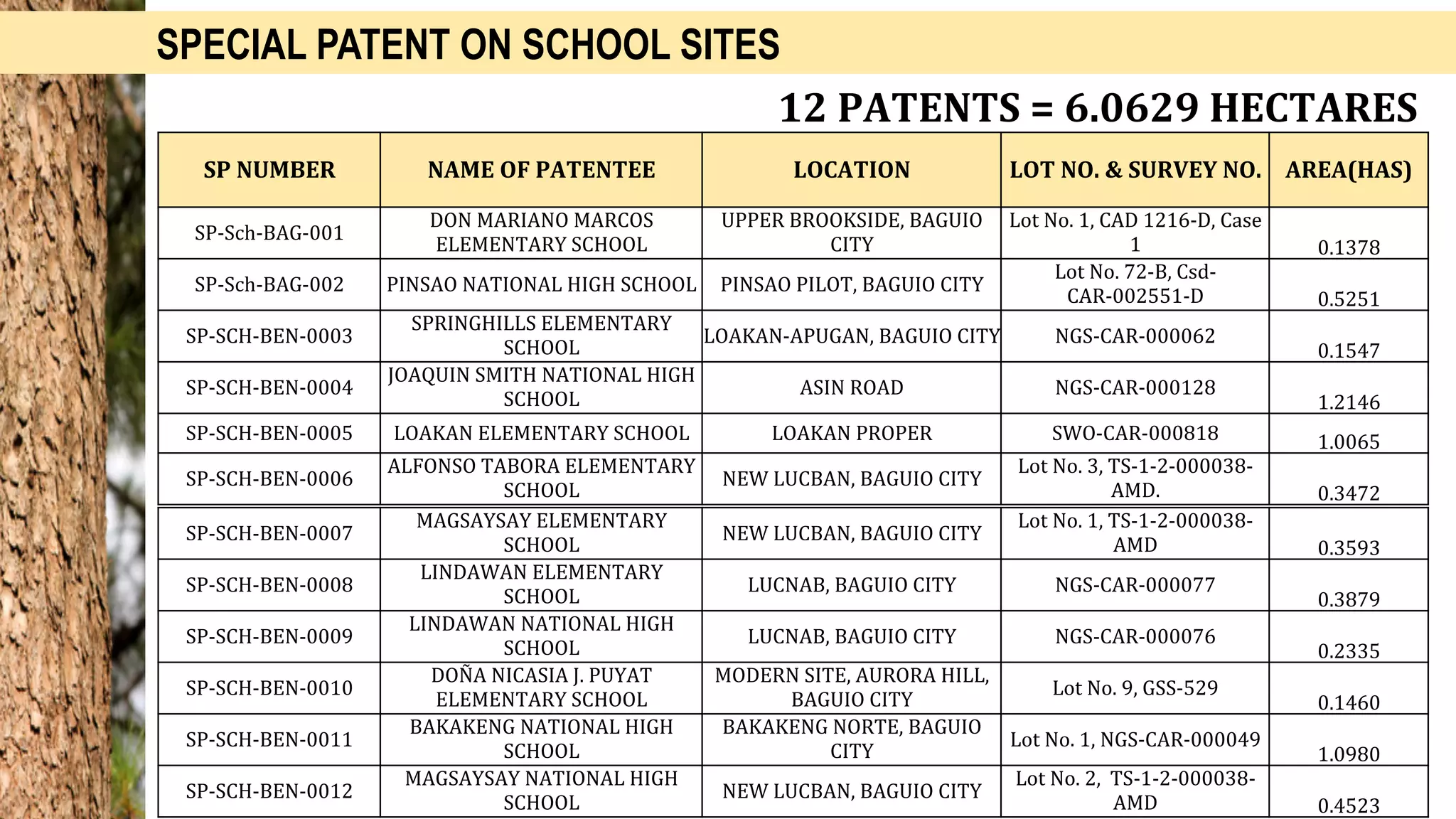 The Overall Land Situation of Baguio City: Issues and Challenges | PDF