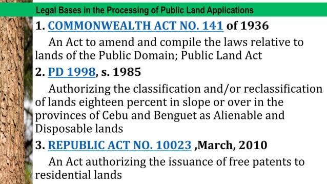 The Overall Land Situation of Baguio City: Issues and Challenges | PDF