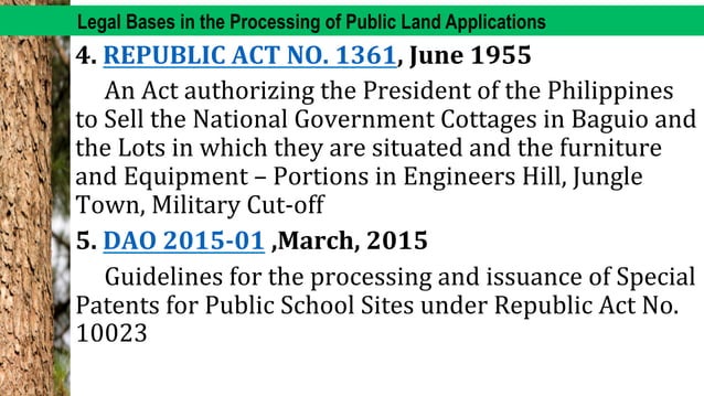 The Overall Land Situation of Baguio City: Issues and Challenges | PDF