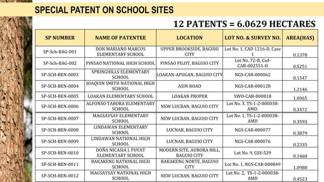 The Overall Land Situation of Baguio City: Issues and Challenges | PDF