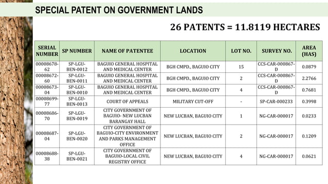 The Overall Land Situation of Baguio City: Issues and Challenges | PDF
