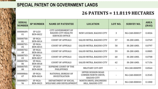 The Overall Land Situation of Baguio City: Issues and Challenges | PDF