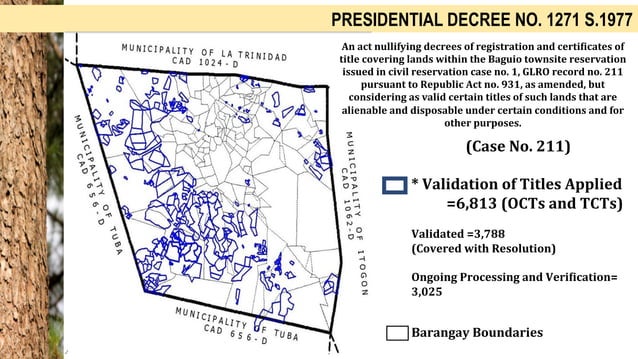 The Overall Land Situation of Baguio City: Issues and Challenges | PDF
