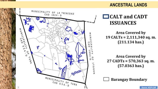 The Overall Land Situation of Baguio City: Issues and Challenges | PDF