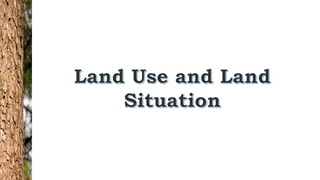 The Overall Land Situation of Baguio City: Issues and Challenges | PDF