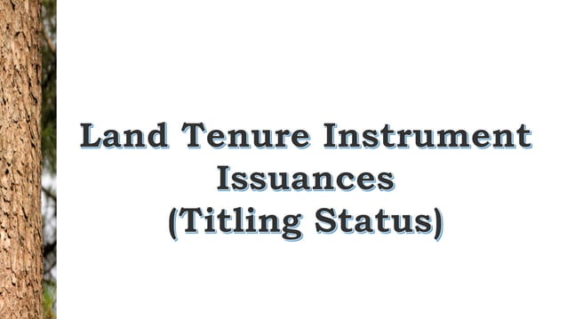 The Overall Land Situation of Baguio City: Issues and Challenges | PDF