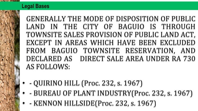 The Overall Land Situation of Baguio City: Issues and Challenges | PDF