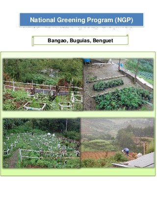 National Greening Program (NGP) | PDF