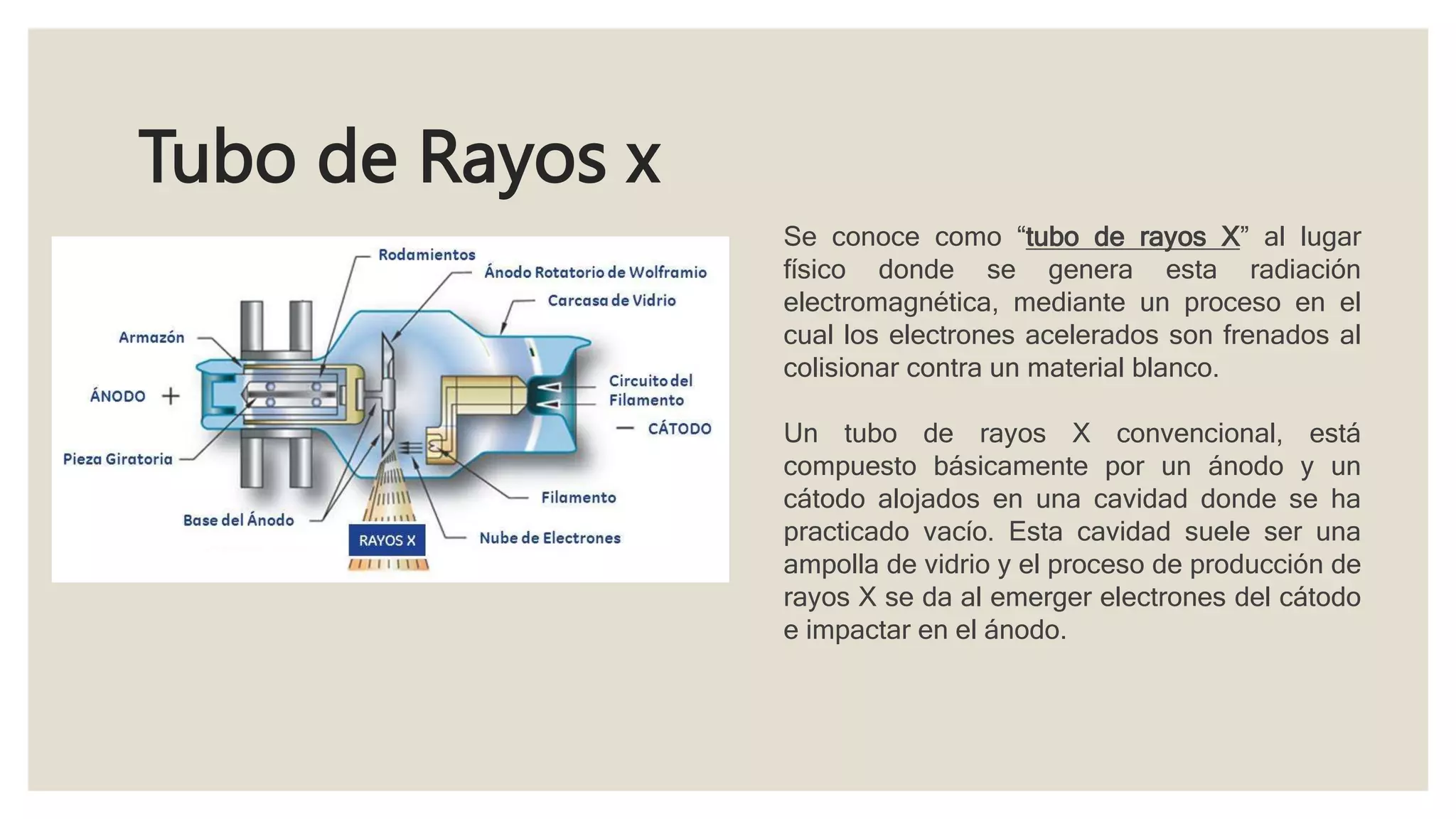 Densidades radiologicas y partes del equipo de rayos X.pptx