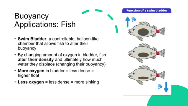 Density and Buoyancy for Grade 8 Science Class | PPTX