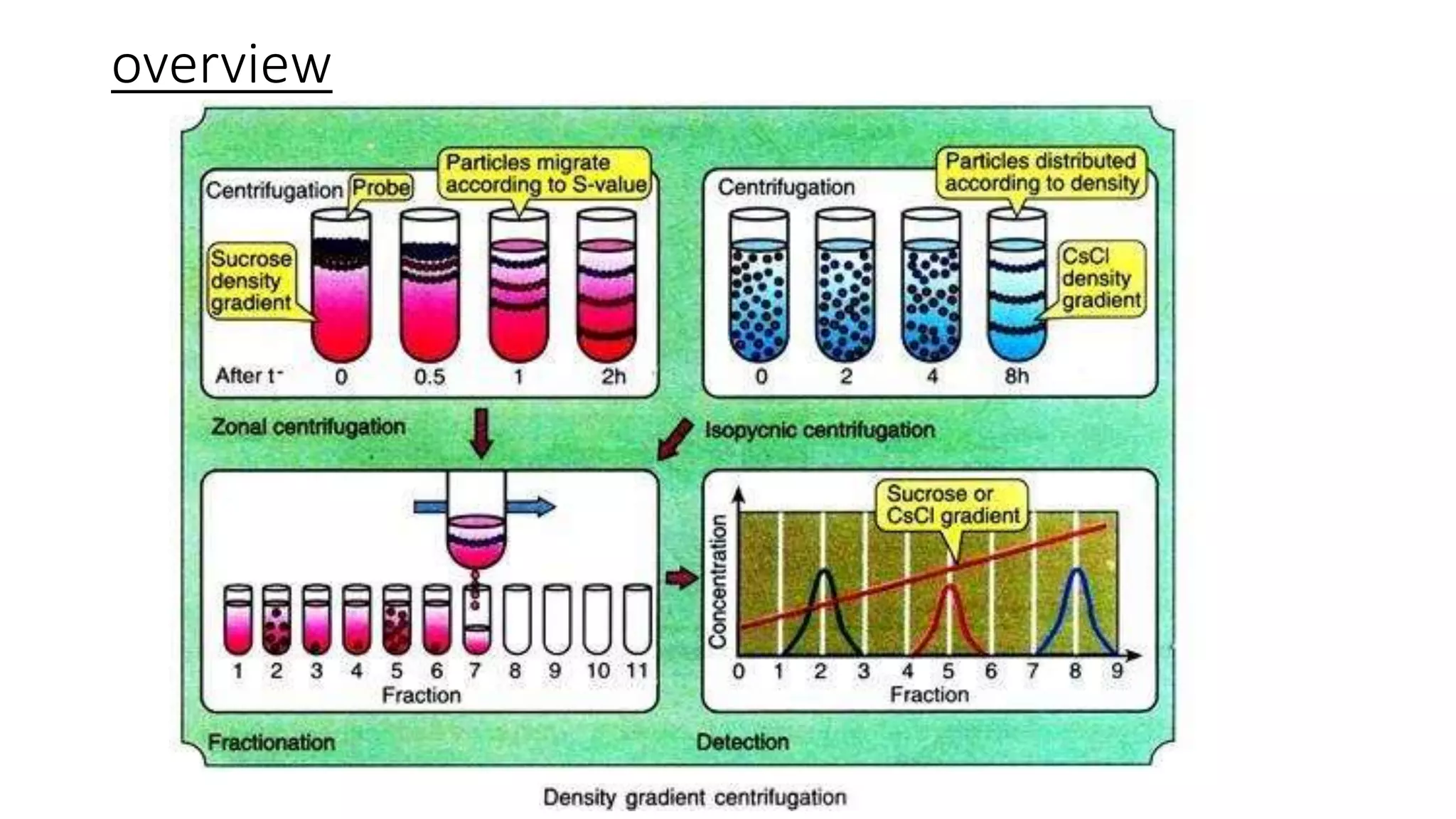 Density Gradient Centrifugation Pptx