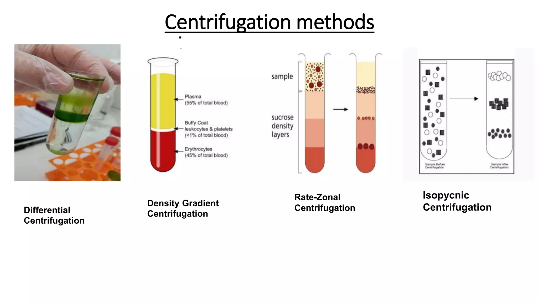 Density Gradient Centrifugation Pptx