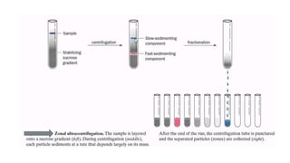 Density gradient centrifugation | PPTX
