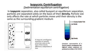 Density gradient centrifugation | PPTX