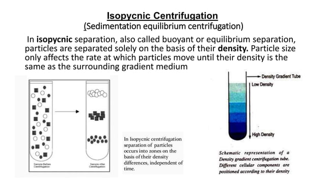 Density gradient centrifugation | PPTX | Chemistry | Science