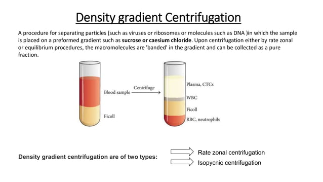 Density Gradient Centrifugation Pptx Chemistry Science