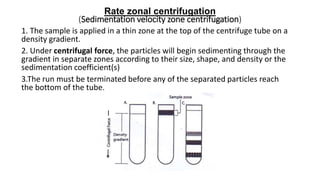 Density gradient centrifugation | PPTX