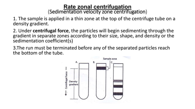 Density Gradient Centrifugation Pptx Chemistry Science