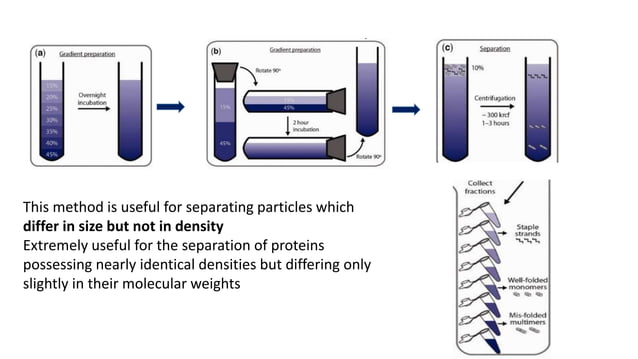 Density gradient centrifugation | PPTX | Chemistry | Science