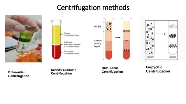 Density Gradient Centrifugation