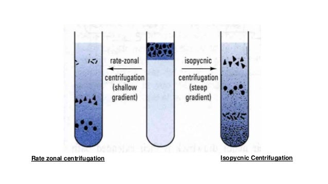 Density gradient centrifugation