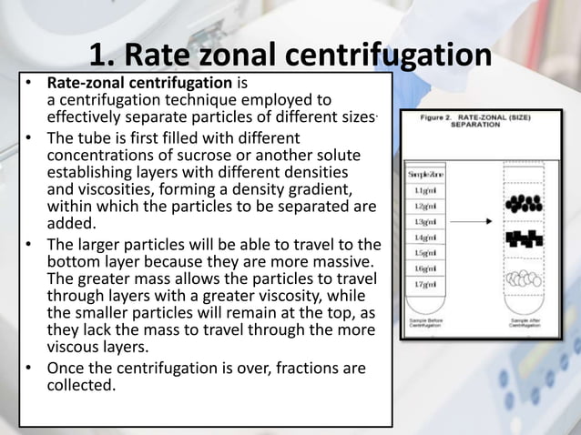 Density Gradient Centrifugation Types Advantages And Disadvantages Pptx