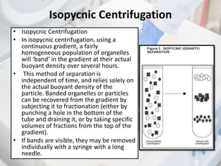 Density gradient centrifugation,types, advantages and disadvantages | PPTX
