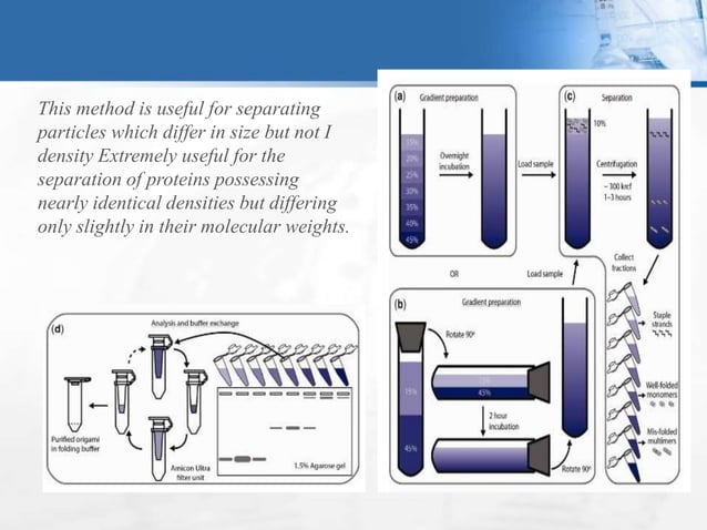Density gradient centrifugation | PPTX