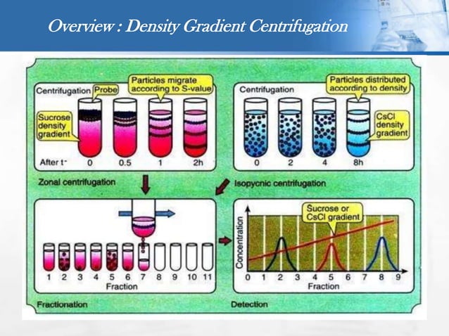 Density gradient centrifugation | PPT