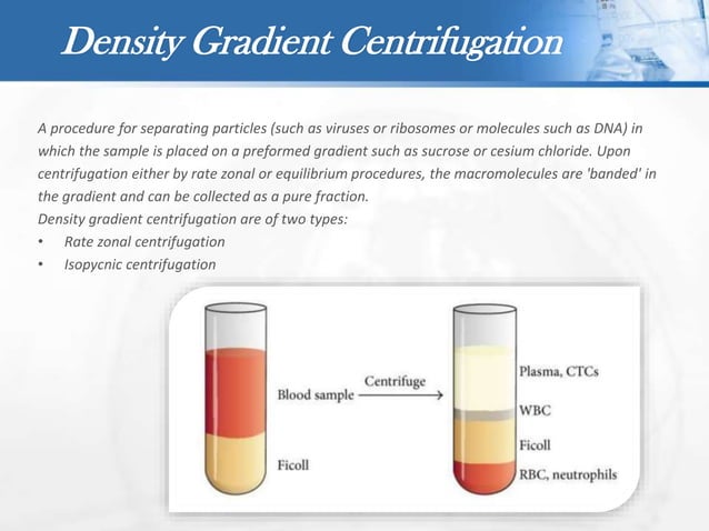 Density Gradient Centrifugation Ppt