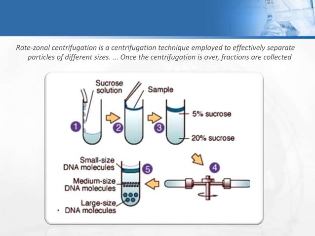 Density Gradient Centrifugation Ppt
