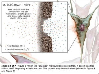Dental Oxidative Stress & Protandim Presentation | PPT