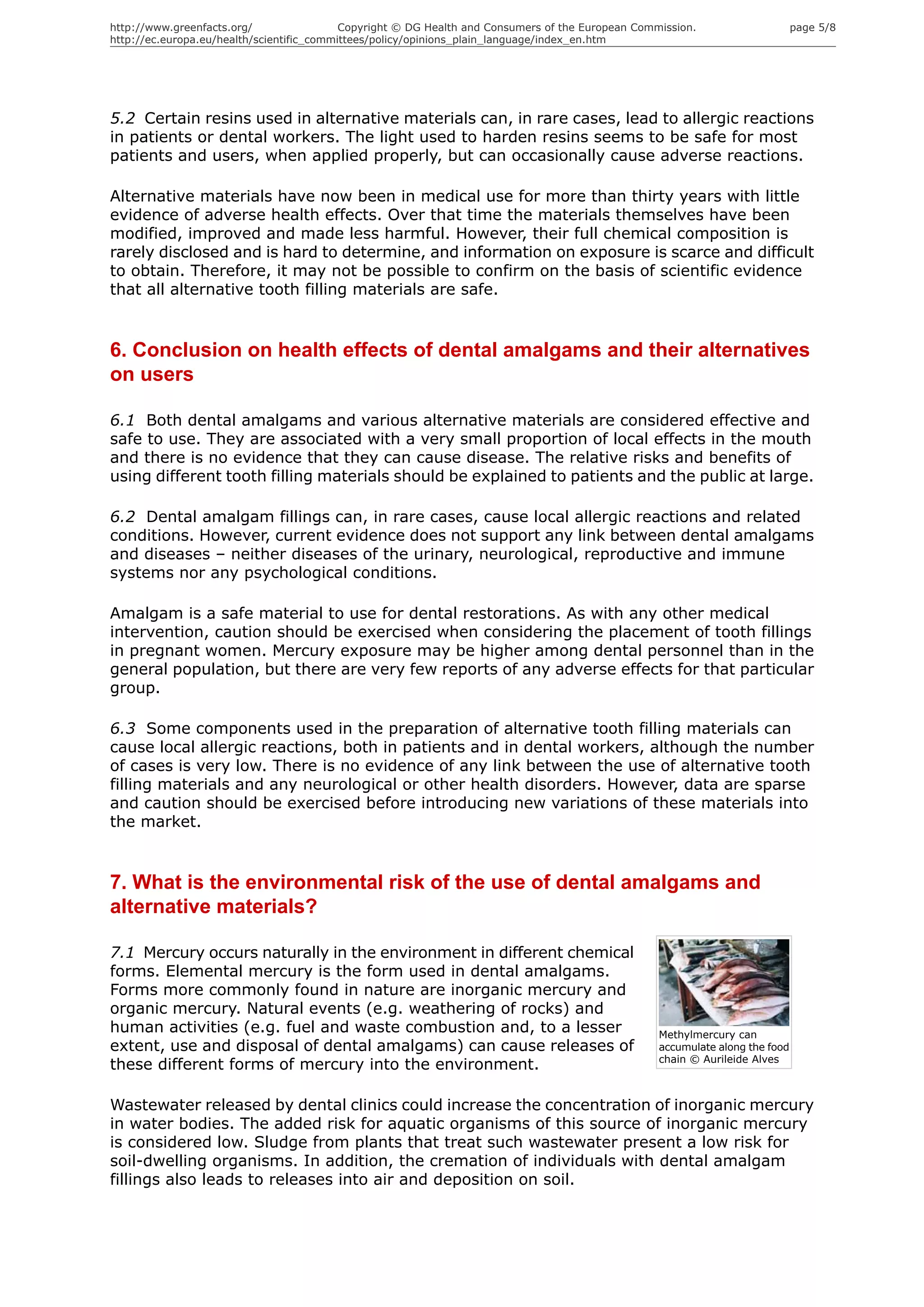 Tooth filling materials | PDF