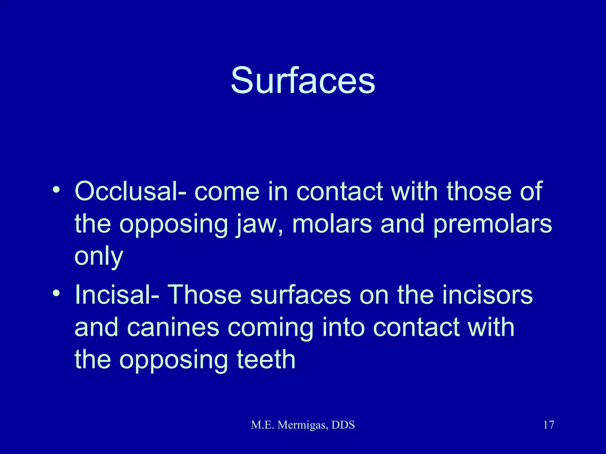 Dental Anatomy | PPT