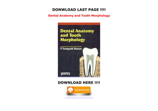Dental Anatomy and Tooth Morphology | PDF | Dental Health | Diseases ...