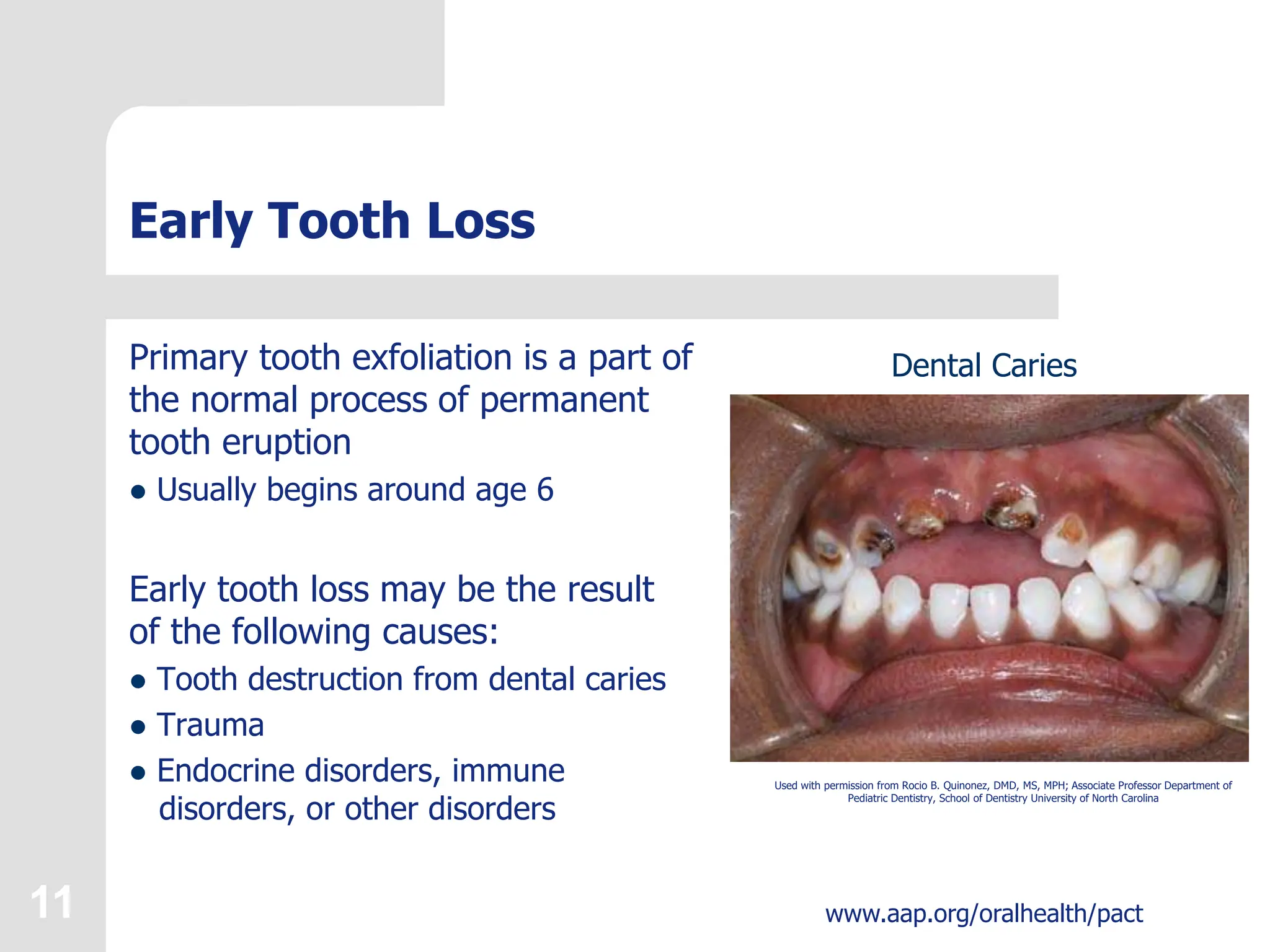 Dental -Development .ppt
