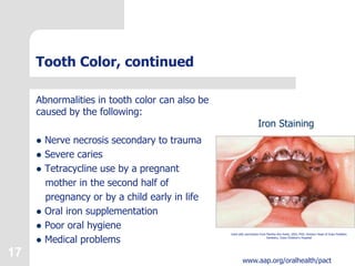 Dental -Development .ppt