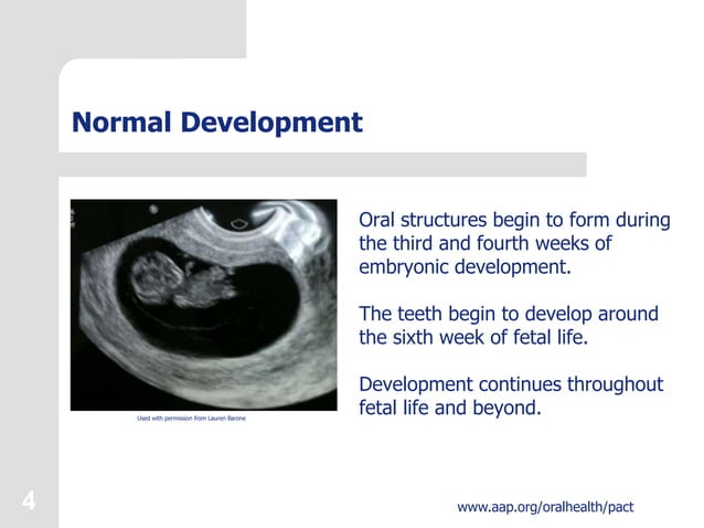 Dental -Development .ppt