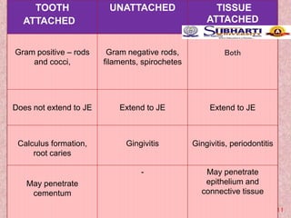 Dental-Plaque-1-202110221511350.pptx | Dental Health | Diseases and ...